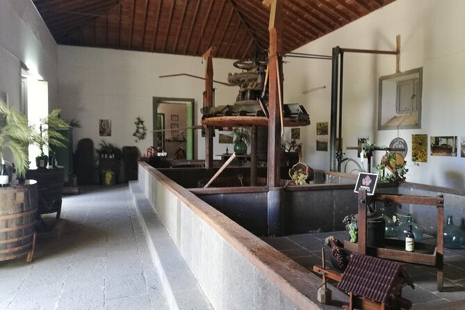 4.5 hours Private tour, the best and highlights of Gran Canaria. - Final Thoughts: Is This Tour for You?