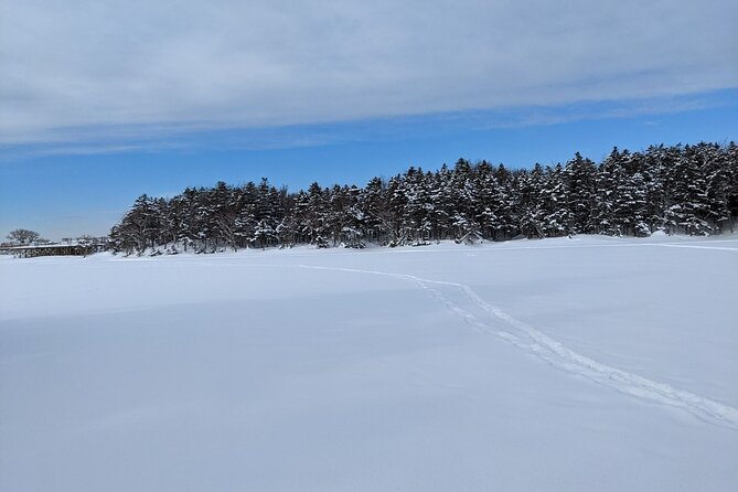 4.5 Hours Snowshoe Hike in Shiretoko Five Lakes - Equipment and Gear Rental