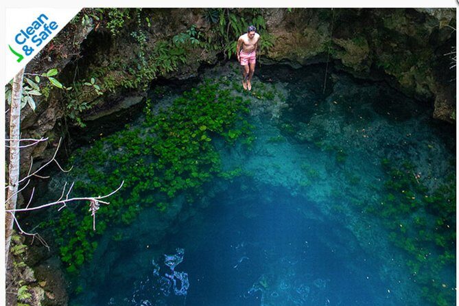 4 best Cenotes Semi-Private Tour - Introduction: What You Can Expect from This Tour
