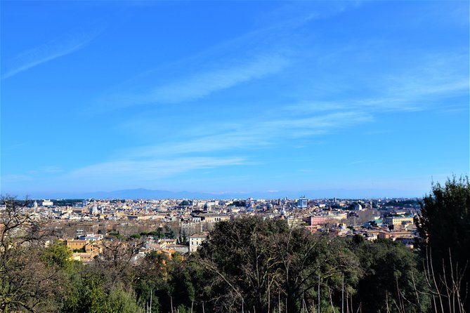 4 Best views in Rome: 4 hours Private Guided Tour with luxury car - Authentic Experiences & Traveller Feedback