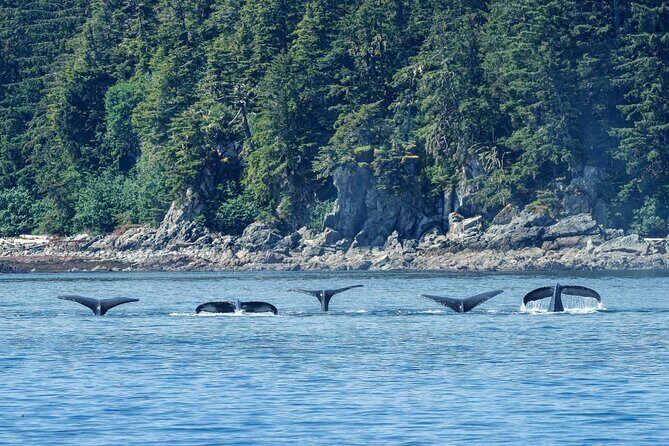 4 Course Dinner Cruise plus Eco Tour on Luxury Yacht in Sitka - FAQs