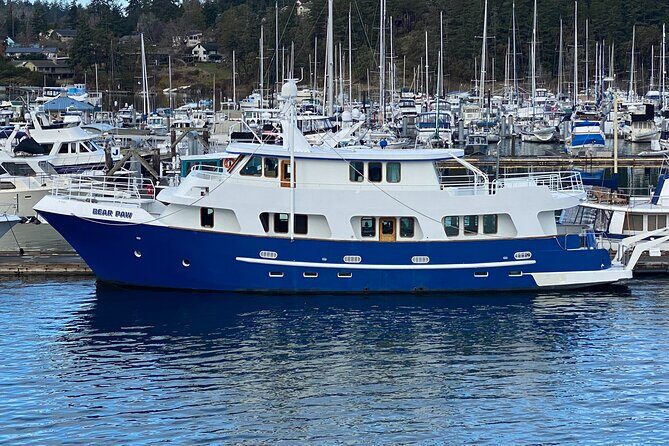 4 Course Dinner Luxury Yacht Dinner cruise out of Friday Harbor - Who Will Love This Tour?