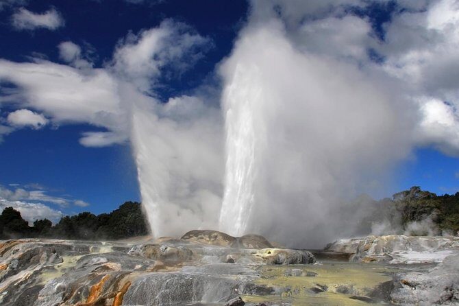 4-Day Auckland to Wellington via Rotorua Tour - Cost and Value
