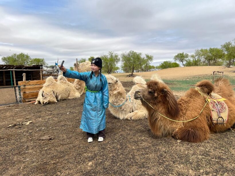 4 Day Best of Central Mongolia tour, Chinggis Khan statue - Who Should Consider This Tour?