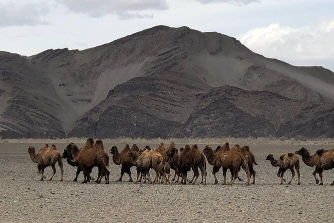 4 Day Budget Tour for Energy and Spiritual Healing in South Gobi Mongolia - Authenticity and Cultural Engagement