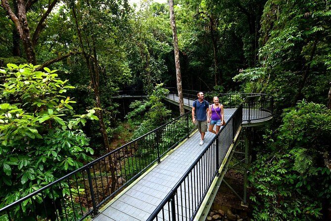 4 Day Cairns: Daintree Rainforest, Reef, Kuranda & Paronella Park - Exploring the Great Barrier Reef