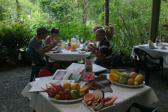 4 Day Cairns: Daintree Rainforest, Reef, Kuranda & Paronella Park - What’s Included and What to Keep in Mind
