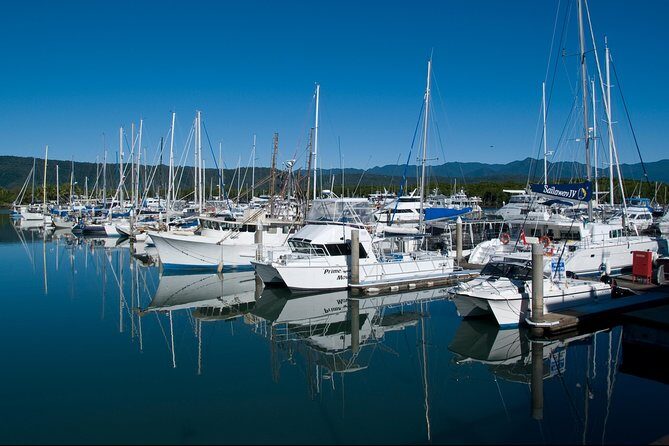4 Day Cairns: Daintree Rainforest, Reef, Kuranda & Paronella Park - Final Thoughts on the Value