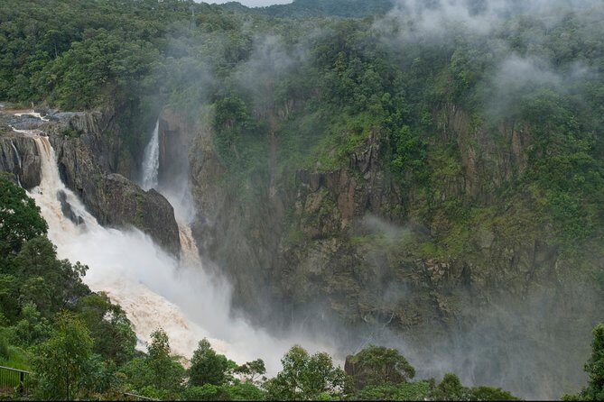 4 Day Cairns: Daintree Rainforest, Reef, Kuranda & Paronella Park - Who Will Love This Tour?