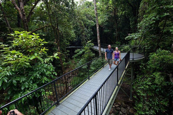 4-Day Cairns with Great Barrier Reef and Daintree Rainforest - Key Points