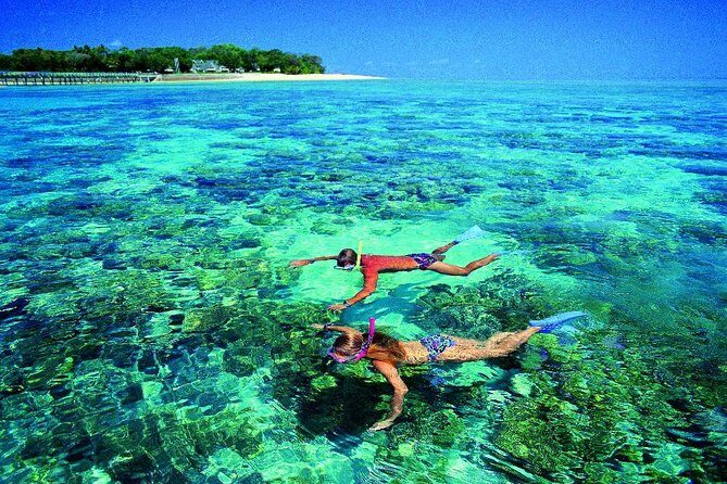 4-Day Cairns with Great Barrier Reef and Daintree Rainforest - An In-Depth Look at the 4-Day Cairns Tour Experience