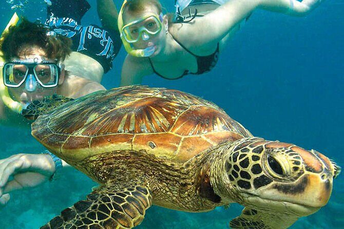 4-Day Cairns with Great Barrier Reef and Daintree Rainforest - FAQs