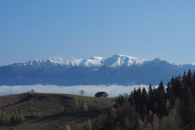 4-Day Carpathian Trek: Bucegi Mountains and Piatra Craiului National Park - The Value Proposition