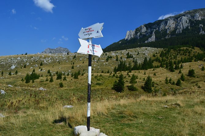 4-Day Carpathian Trek: Bucegi Mountains and Piatra Craiului National Park - FAQ