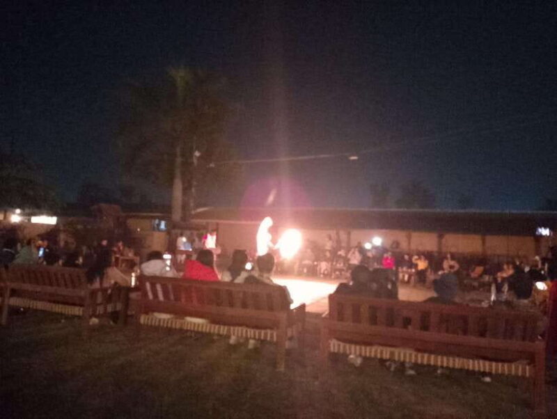 4-Day Chitwan Jungle Safari with Tower Night stay Tour - Why This Tour Offers Good Value