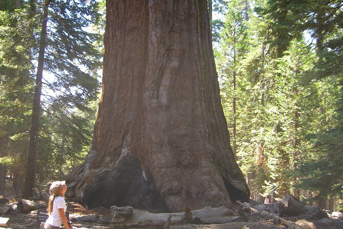 4 Day Death Valley, Yosemite, San Francisco from Las Vegas Camp or Lodge - FAQ