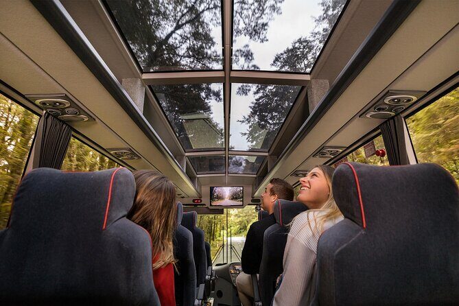 4-Day Great Southern Island Circle Tour from Christchurch - Honest review based on customer feedback