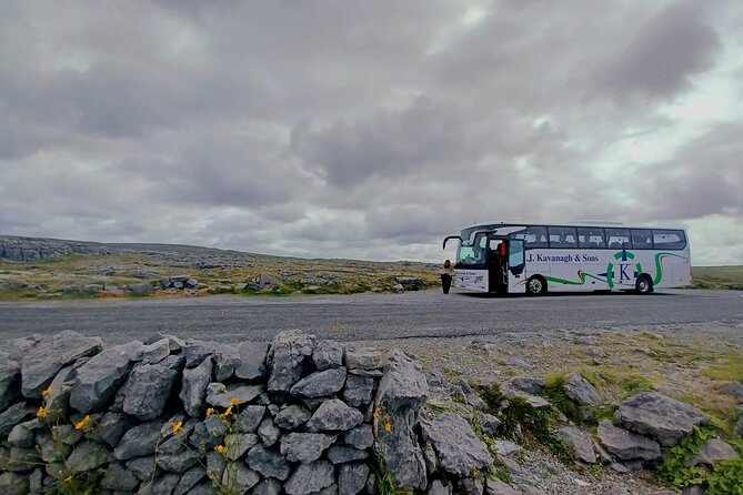 4-Day Guided Tour to Discover Ireland and Dublin - Final Thoughts: Who Is This Tour Best For?