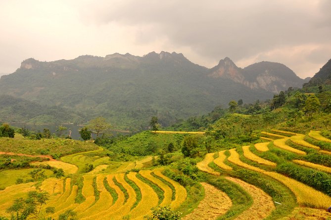 4-Day Jungle Trekking in Ba Be National Park - The Practicalities and Value of the Tour