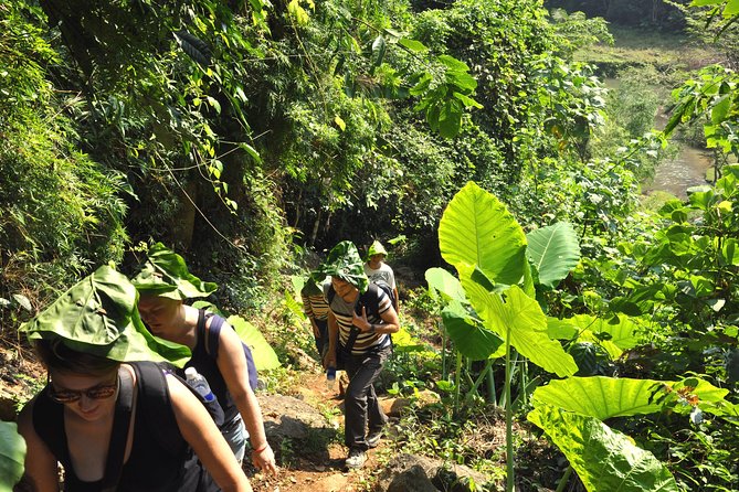 4-Day Jungle Trekking in Ba Be National Park - Who Would Love This Tour?