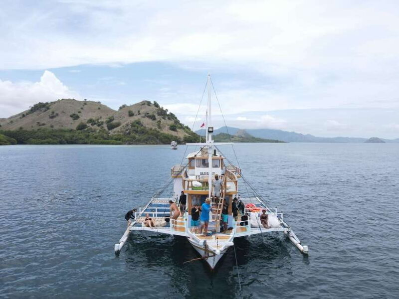 4-Day Komodo Island Adventure: Dragons, Snorkeling & Hiking - What Travelers Say