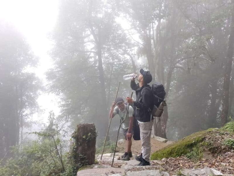 4 Day Mardi Himal Trek with 2 Day Chitwan Jungle Safari Tour - The 2-Day Chitwan Jungle Safari