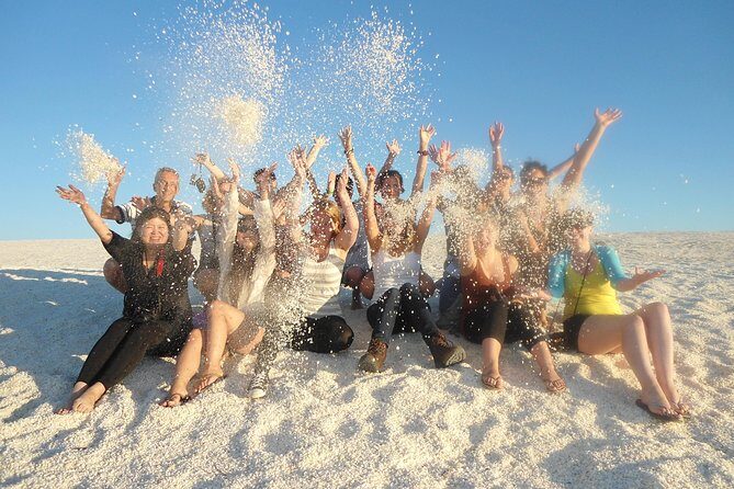 4-Day Monkey Mia Dolphins Pink Lake Pinnacles Comfort-Level Tour - Who Will Love This Tour?