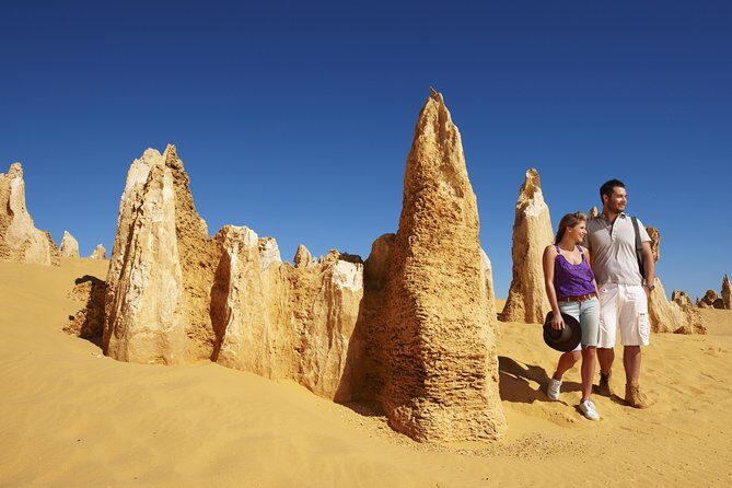 4-Day Monkey Mia Dolphins Pink Lake Pinnacles Comfort-Level Tour - Final Thoughts