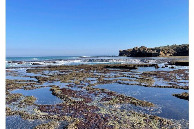 4 Day Mornington Peninsula Treks - A Comprehensive Look at the 4-Day Mornington Peninsula Treks