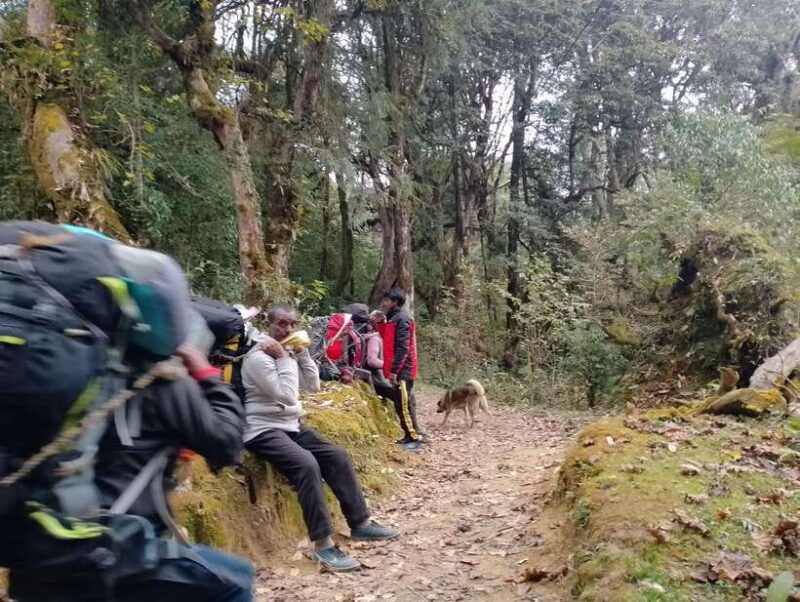 4-Day Mulde ,Poon Hill Trek Itinerary (Children-Friendly) - Introduction