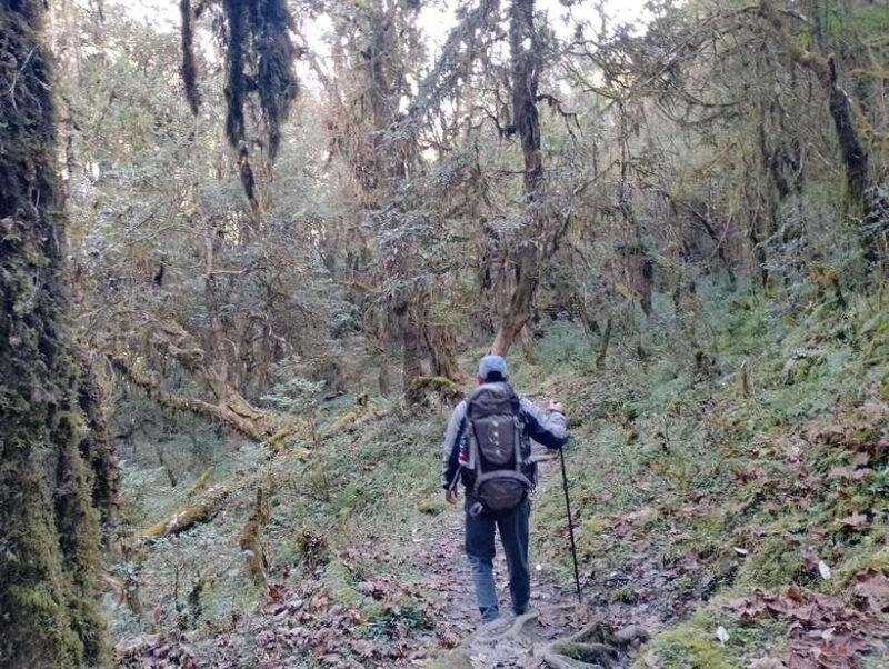 4-Day Mulde ,Poon Hill Trek Itinerary (Children-Friendly) - What Is This Trek All About?