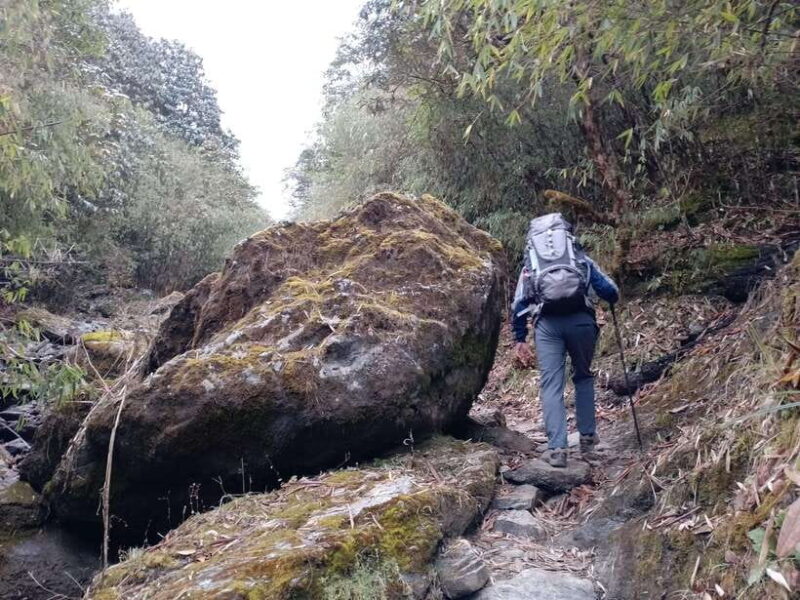 4-Day Mulde ,Poon Hill Trek Itinerary (Children-Friendly) - What’s Included and What’s Not