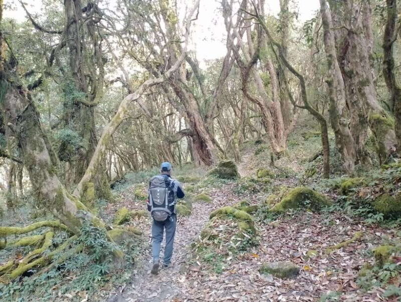 4-Day Mulde ,Poon Hill Trek Itinerary (Children-Friendly) - The Sum Up