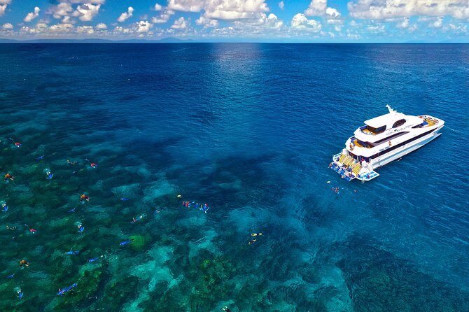 4-Day PADI Open Water Dive Course - Learn to Dive on the Great Barrier Reef - Why This Experience Offers Great Value