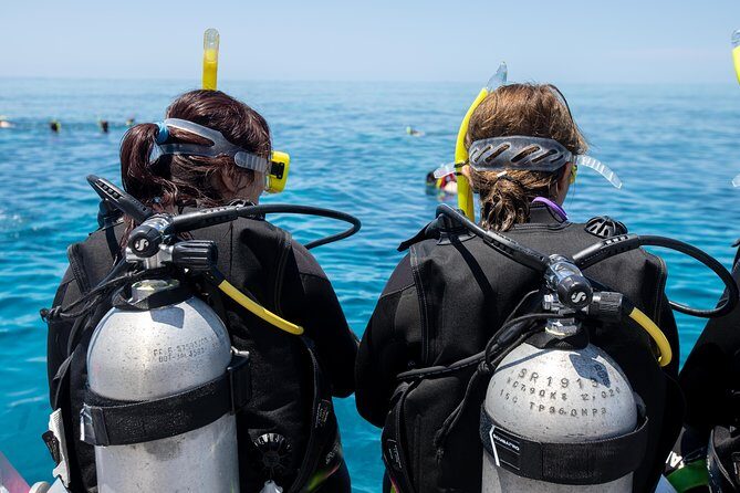 4-Day PADI Open Water Dive Course - Learn to Dive on the Great Barrier Reef - Final Thoughts: Is This the Right Dive Course for You?