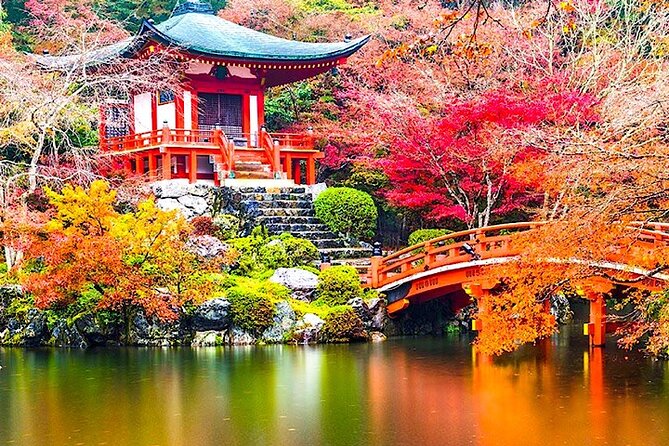 4-Day Private Kyoto Osaka Nara Sightseeing Tour With Guide - Review and Feedback