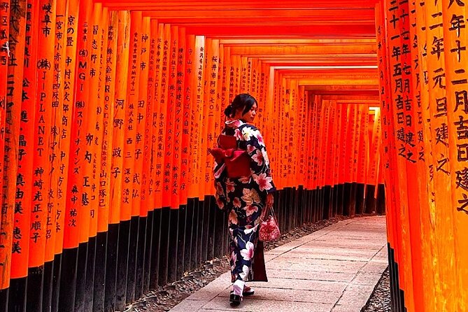 4-Day Private Kyoto Osaka Nara Sightseeing Tour With Guide - Itinerary and Highlights