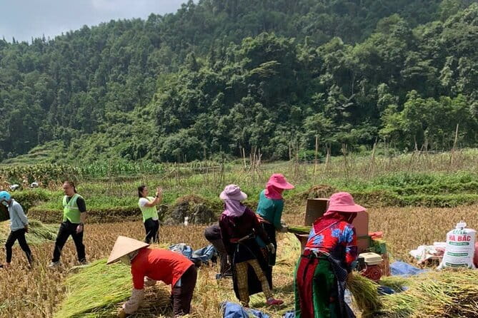 4-Day Private Tour Ha Giang Cao Bang and Ban Gioc - Who Is This Tour Best Suited For?