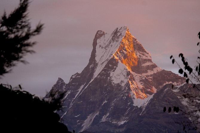 4-Day Private Trekking Experience to Poon Hill and Ghandruk - Why This Trek Offers Great Value