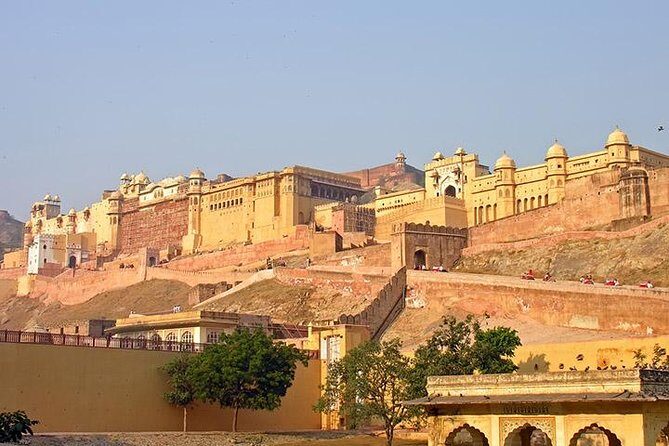4-Day Ranthambore Tiger Tour from Delhi, Jaipur, Agra with 5 star hotel - FAQ