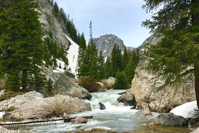 4-Day Small Group Tour: Yellowstone and Tetons Camping from Salt Lake City - Guided Hikes and Wildlife Encounters