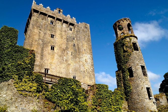 4-Day South West Ireland Tour From Dublin - Customer Feedback and Experiences