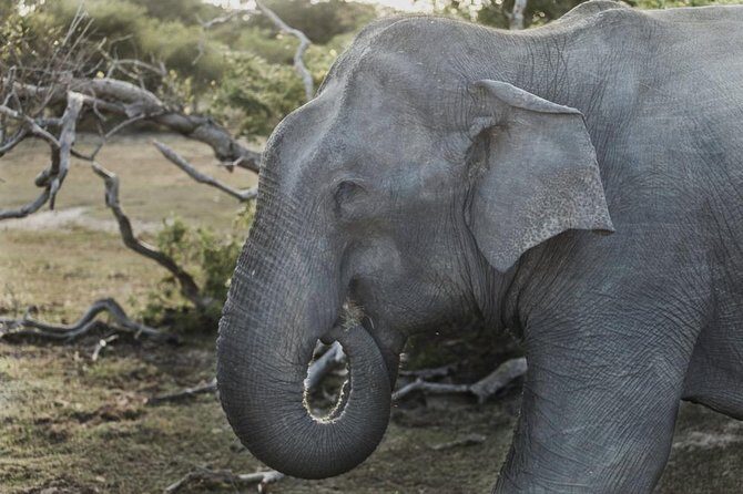 4-Day Sri Lanka Coast Tour - Frequently Asked Questions