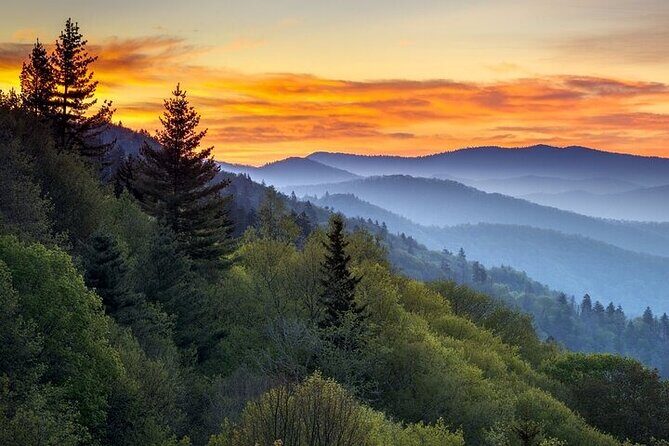 4-Day Tennessee Smoky Mountain Tour from NYC - What Makes This Tour Stand Out?