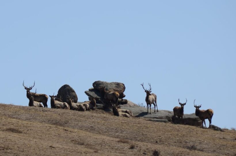 4 day Terelj national park and Great Gobi - Key Points