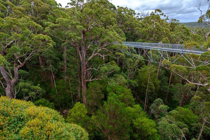 4 Day Tour: Albany, Margaret River, Valley of the Giants TreeTop Walk from Perth - Final Thoughts