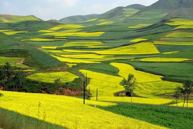 4-Day Tour to Yangshuo Li River Cruise & Longsheng Rice Terraces - An In-Depth Look at the Tour Experience
