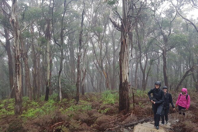 4 Day Wild Tasmania Tour / Wildlife, Nature, Hiking / Inc. Accom - FAQs About the Wild Tasmania Tour