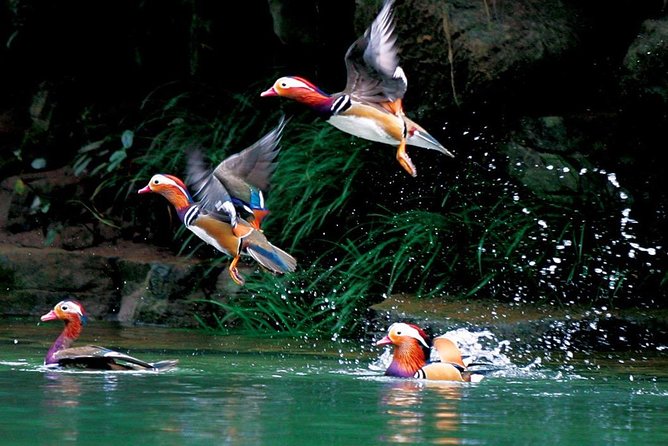 4-Day Zhangjiajie Tour to All Highlight Attractions with VIP Lift - Final Thoughts