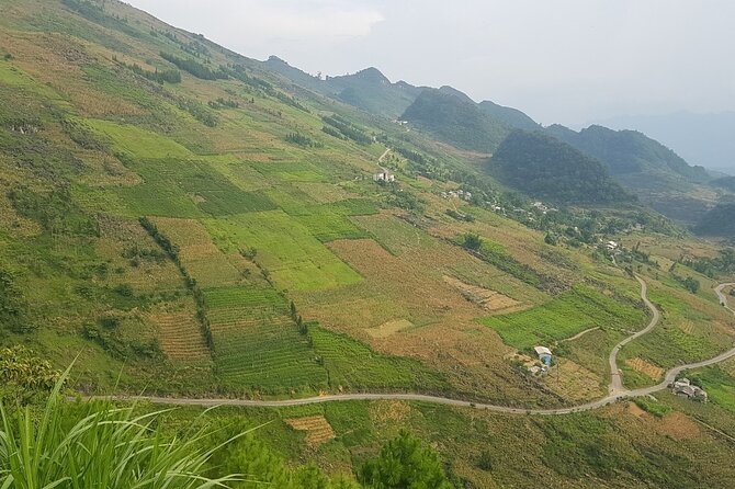 4 Days 3 Nights Ha Giang Easy Driving Motorbike Tours - Final Thoughts: Who is This Tour Best For?